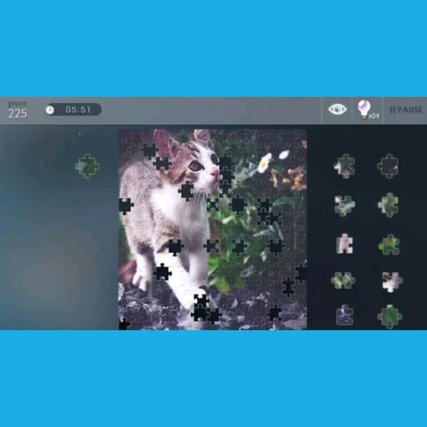 Puzzle and Gifting Start-up "Puzzles that come alive",A mobile App.